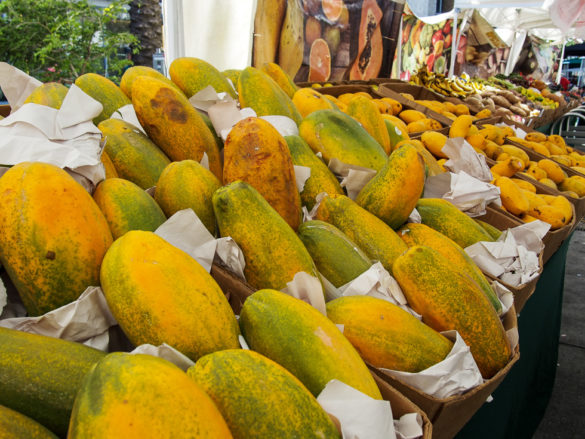 Sunny Skies And Tropical Vibes: My Favorite Daytime Things To Do In ...